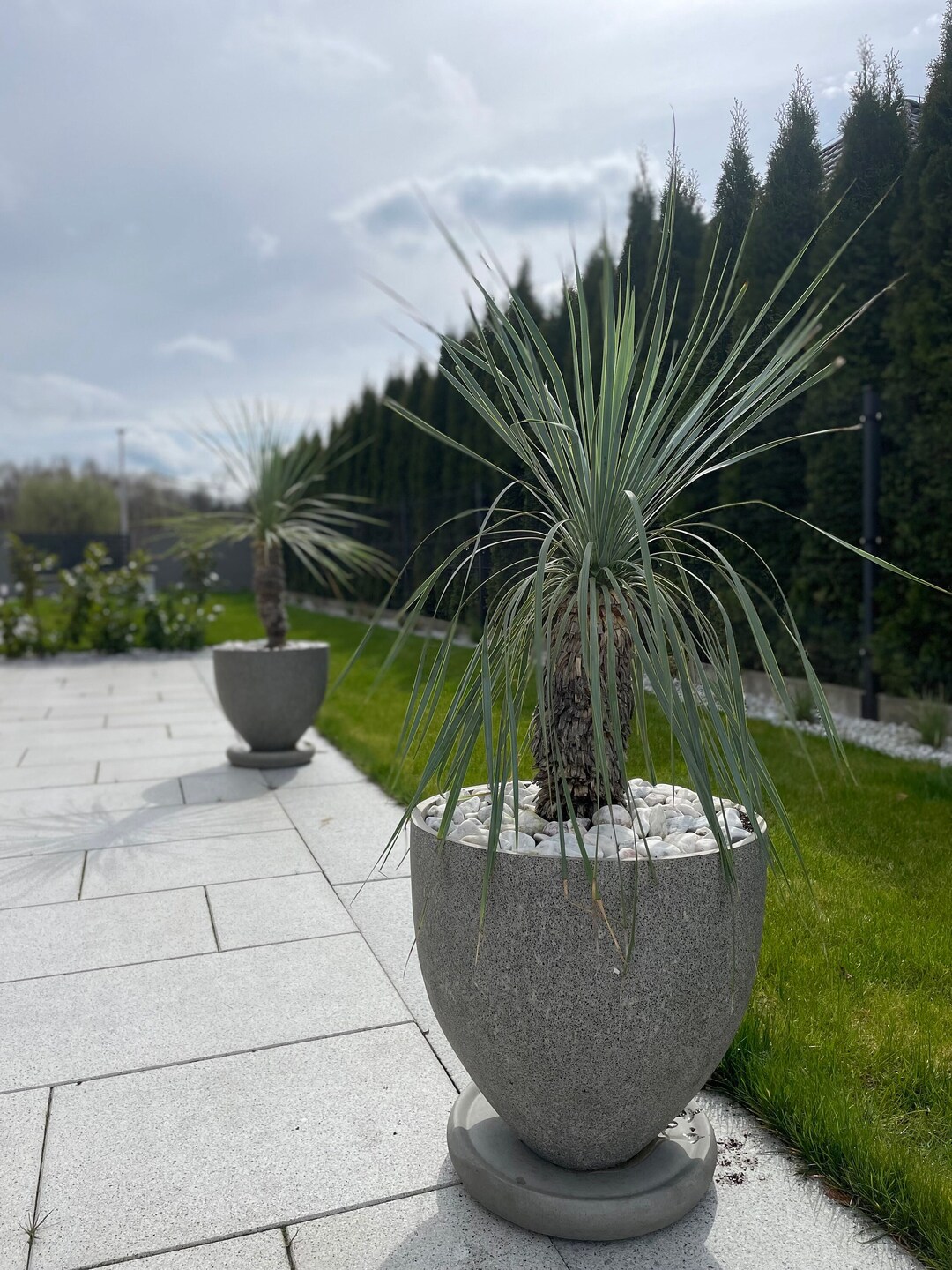 NEW XL Slim Terrazzo Planter 'bazalt Sand' Stone Pot Large Plant Pot ...