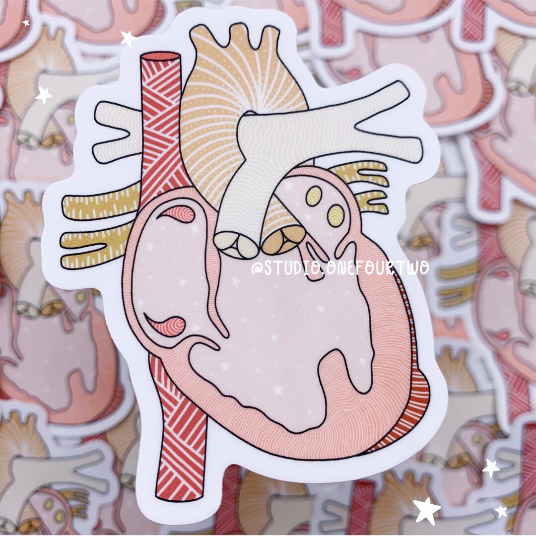 DORV Sticker | Double Outlet Right Ventricle | CHD Sticker - Etsy