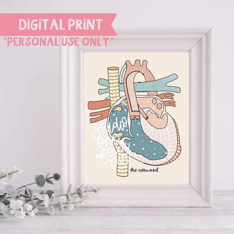 HLHS Surgical Series Digital Prints Anatomical Heart - Etsy