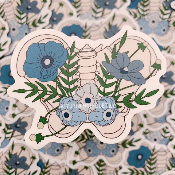 Cute Pelvis Sticker Anatomy Stickers Flower Power - Etsy