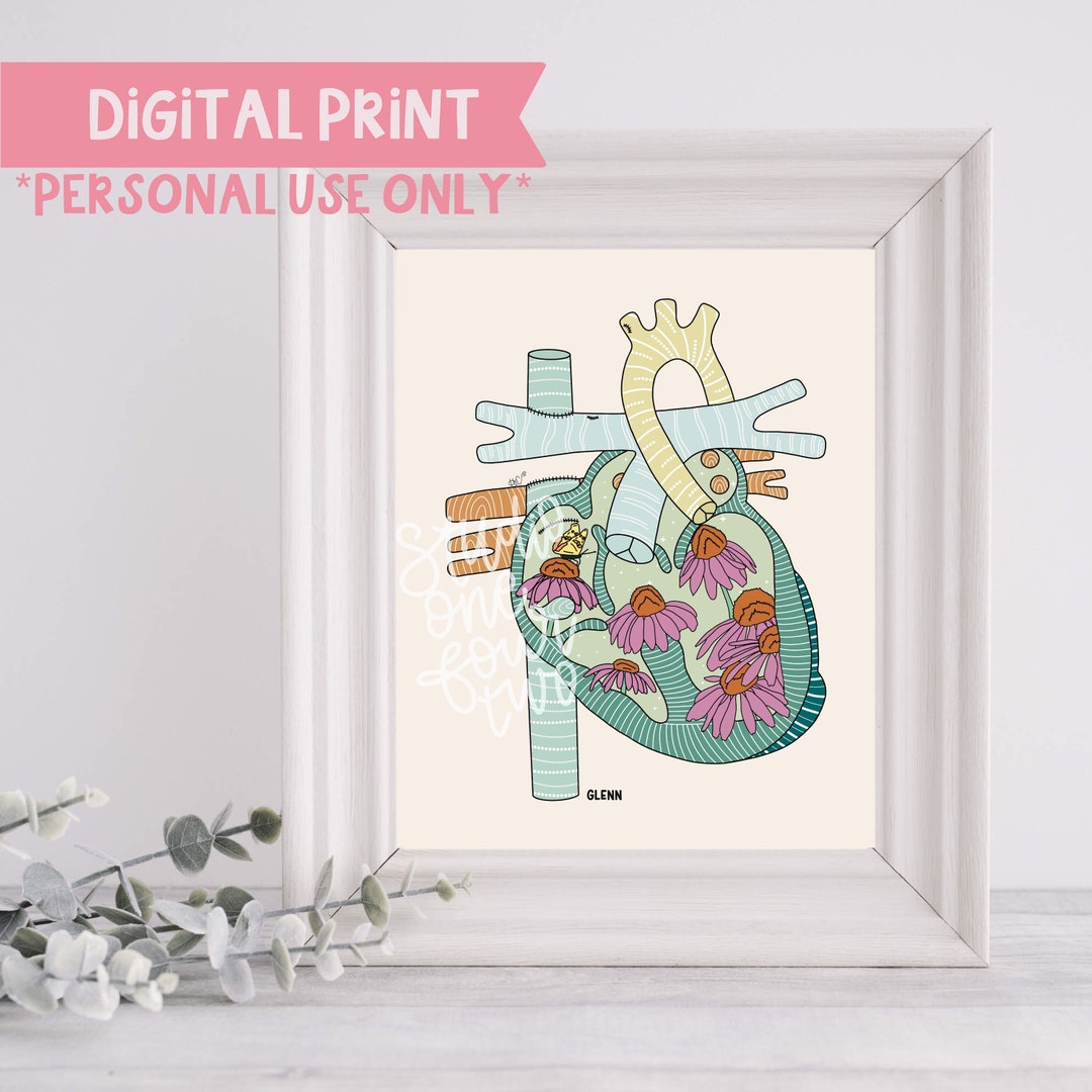 DILV Glenn Digital Print | Double Inlet Left Ventricle | Anatomical ...
