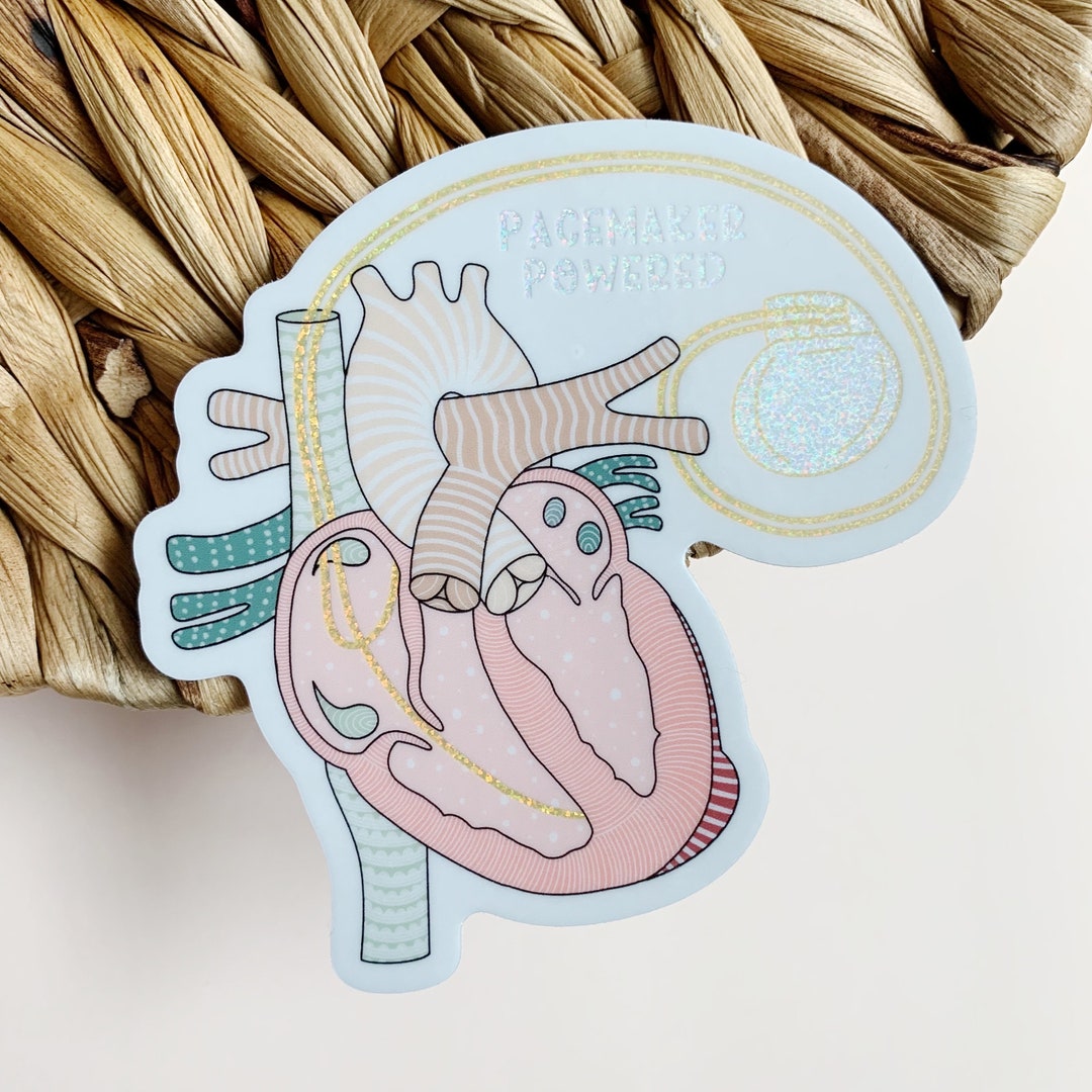 Pacemaker Anatomical Heart Sticker | Pacemaker Powered | Heart Sticker ...