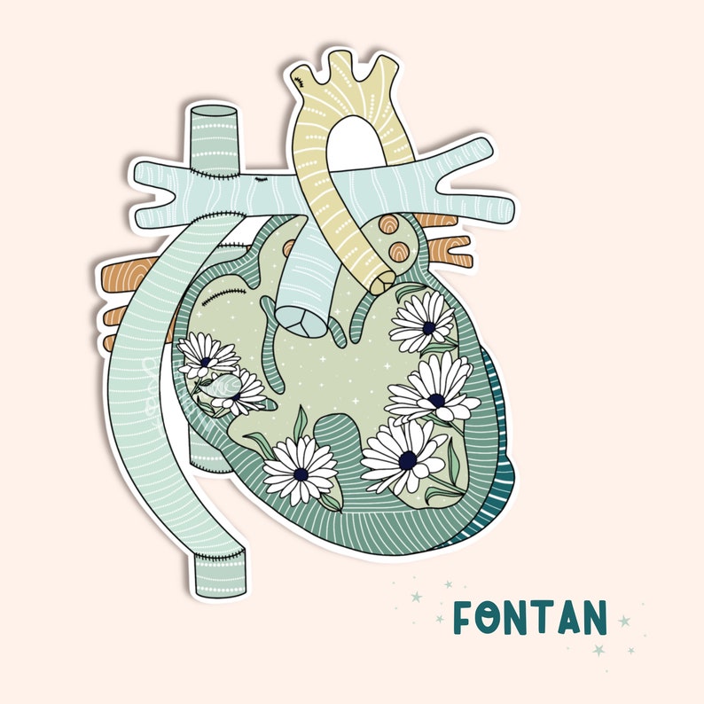 DILV Single Ventricle Surgery Series Stickers Double Inlet - Etsy