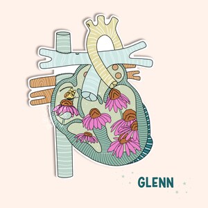 DILV Single Ventricle Surgery Series Stickers | Double Inlet Left ...