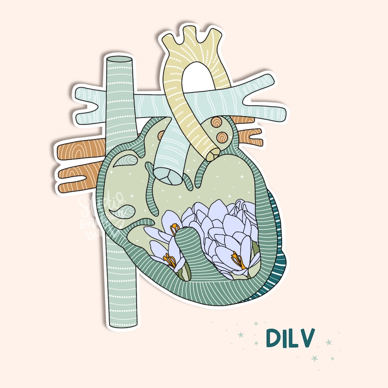 DILV Single Ventricle Surgery Series Stickers Double Inlet - Etsy