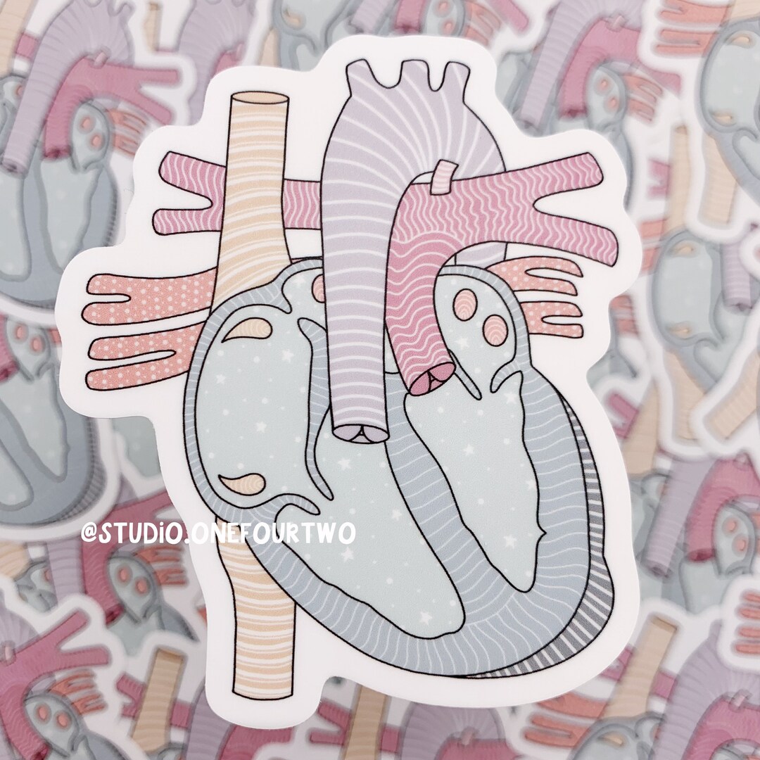 D-TGA Sticker | Dextro-transposition of the Great Arteries | TGA | CHD ...