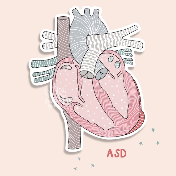 ASD Sticker Atrial Septal Defect CHD Sticker - Etsy