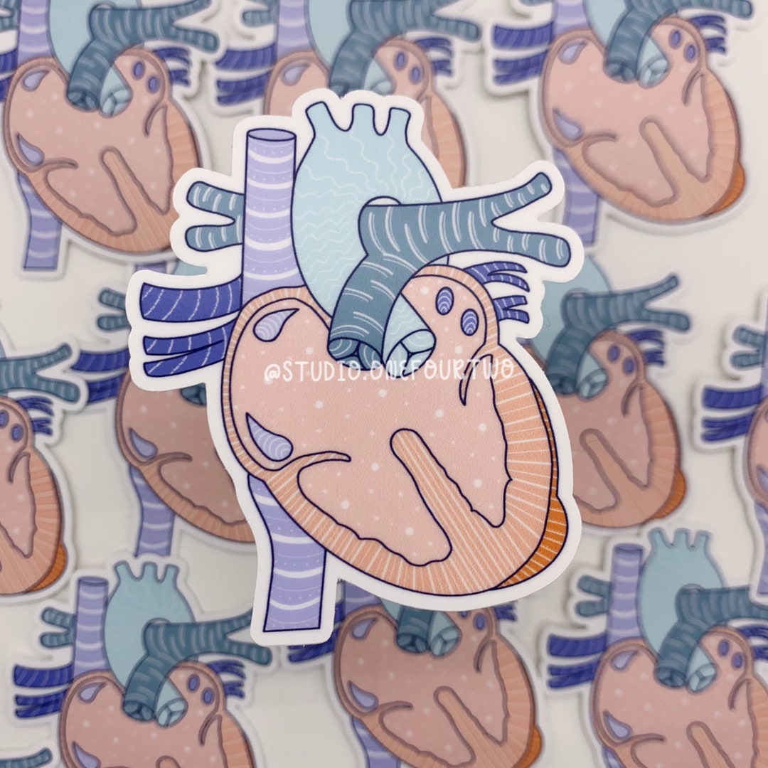 CAVSD Sticker | Complete Atrioventricular Septal Defect | AVSD | CHD ...