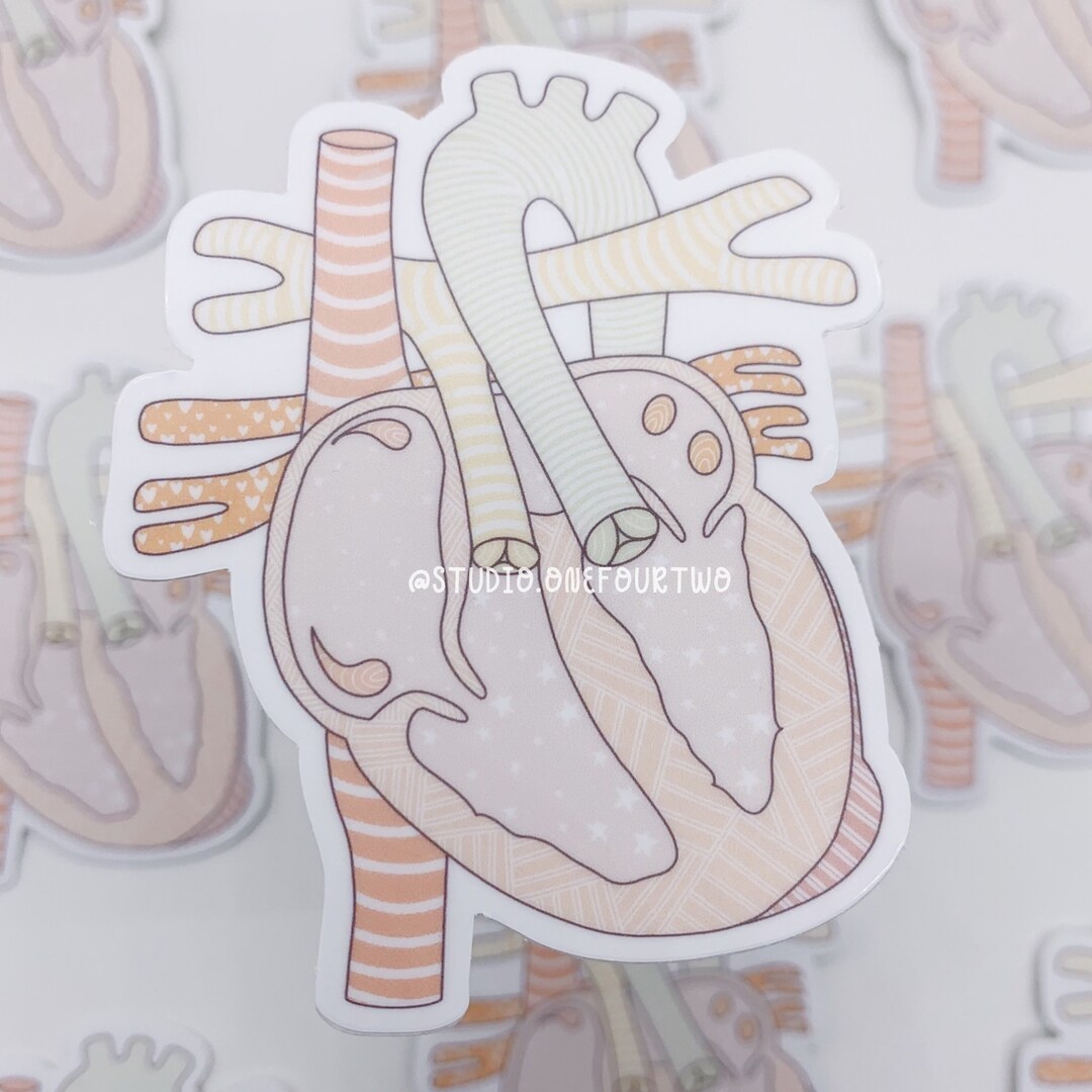 L-TGA Sticker | Levo-transposition of the Great Arteries | TGA ...