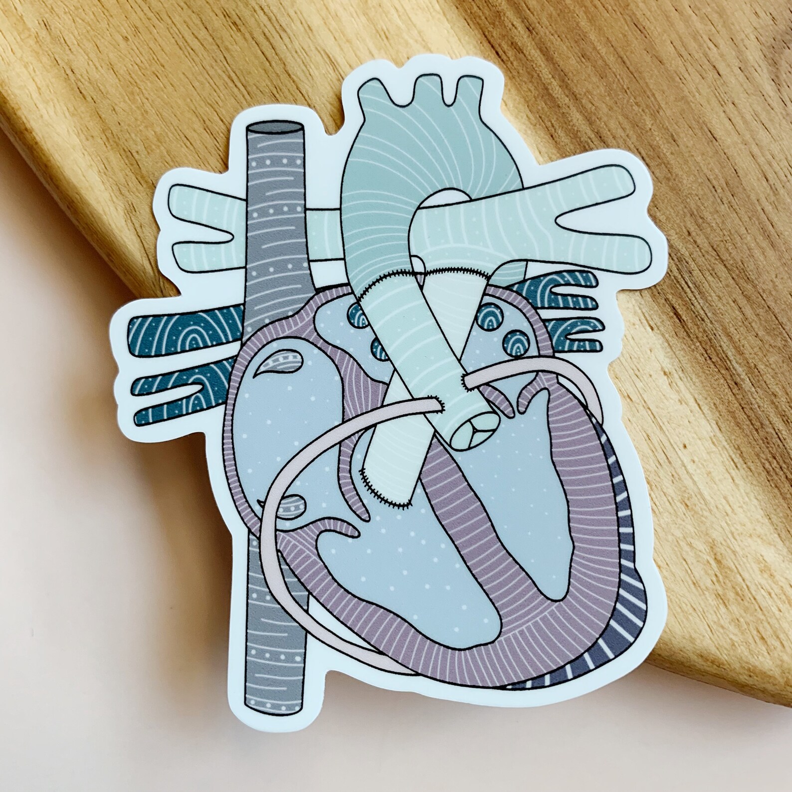 Ross Procedure Sticker | Aortic Valve Repair | CHD Sticker - Etsy