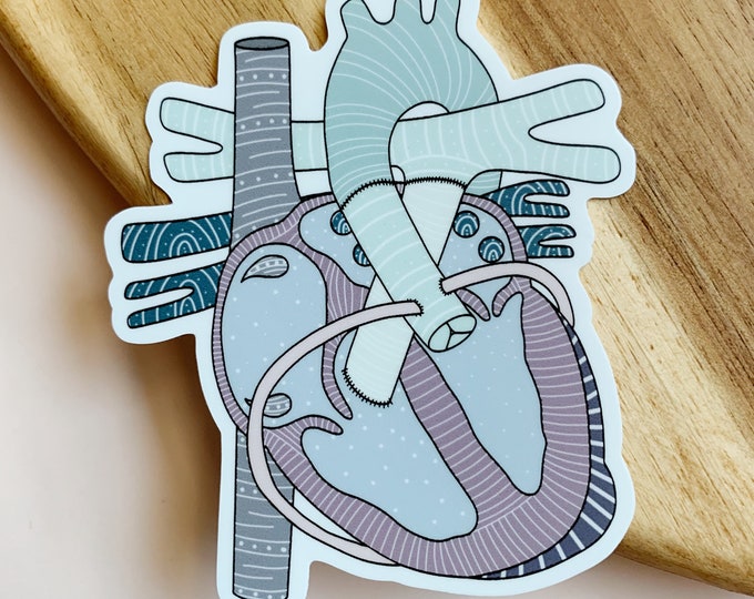 Ross Procedure Sticker Aortic Valve Repair CHD Sticker - Etsy