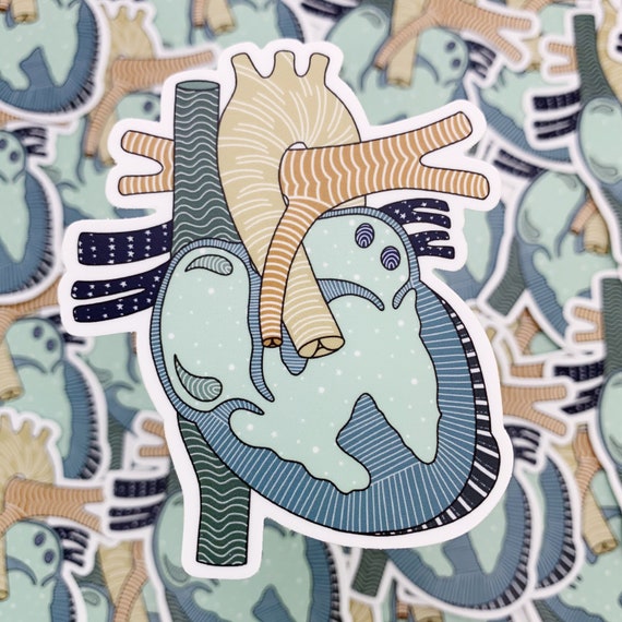 TOF Sticker Tetralogy of Fallot CHD Sticker | Etsy