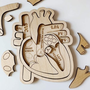 Anatomical Heart Wooden Puzzle - Etsy