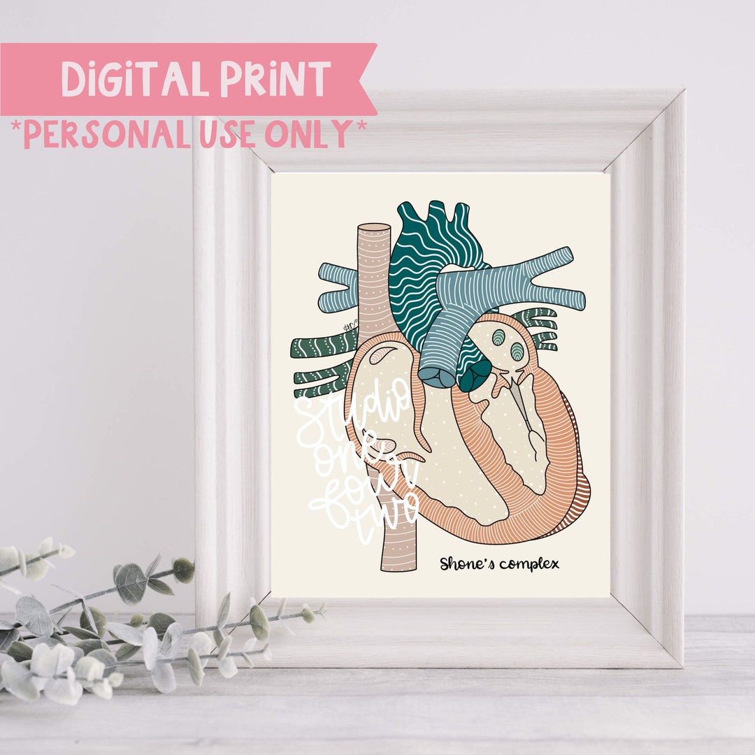 Shones Complex Anatomical Heart Illustration Digital - Etsy