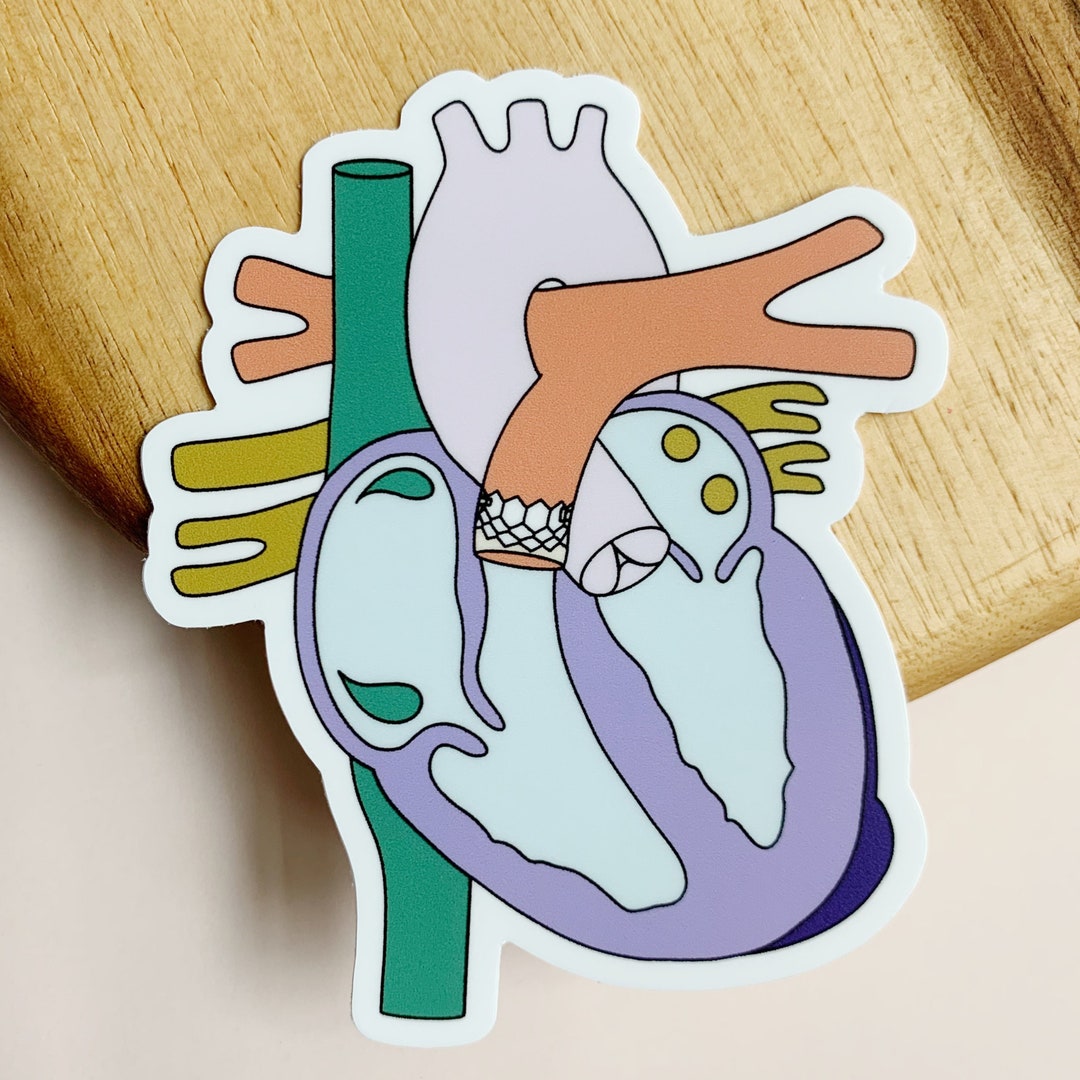 Pulmonary Valve Replacement Sticker| CHD Sticker - Etsy