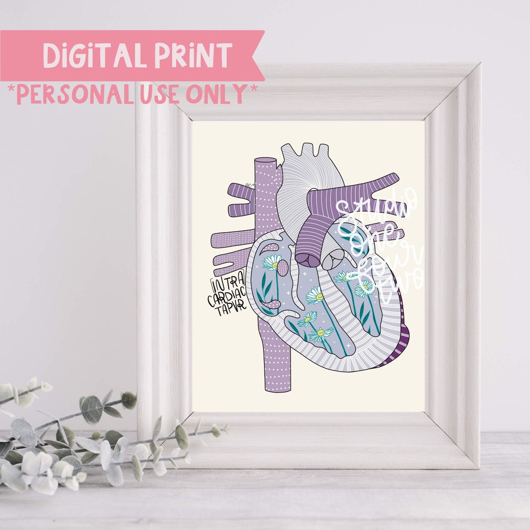 Intracardiac TAPVR Digital Print | Anatomical Heart Illustration ...