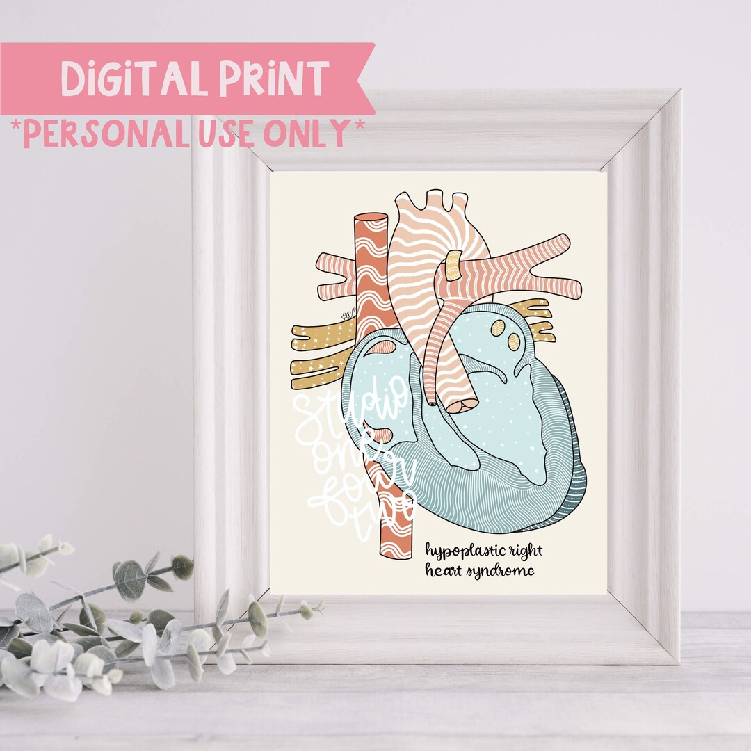 HRHS Digital Print | Anatomical Heart Illustration | Digital Print Only ...