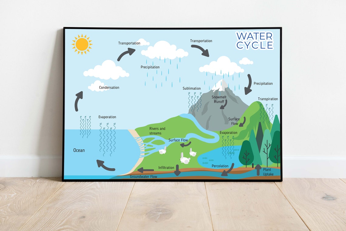 The Water Cycle - Kids Room Science Wall Art – Science Classroom Poster ...