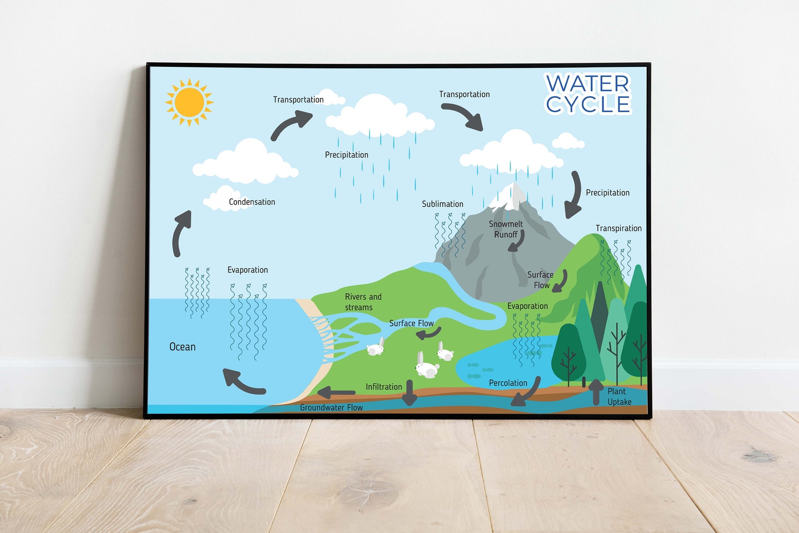 The Water Cycle - Kids Room Science Wall Art – Science Classroom Poster ...