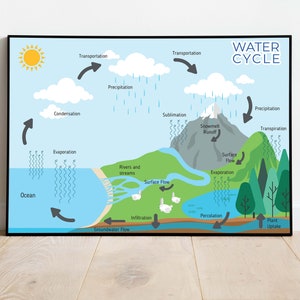 The Water Cycle - Kids Room Science Wall Art – Science Classroom Poster ...