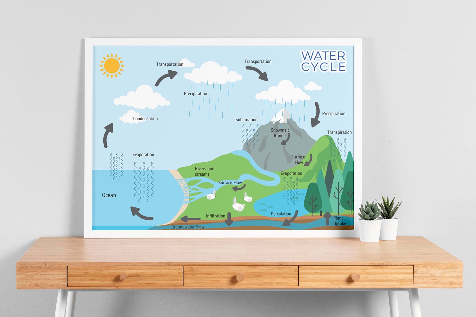 The Water Cycle - Kids Room Science Wall Art – Science Classroom Poster ...
