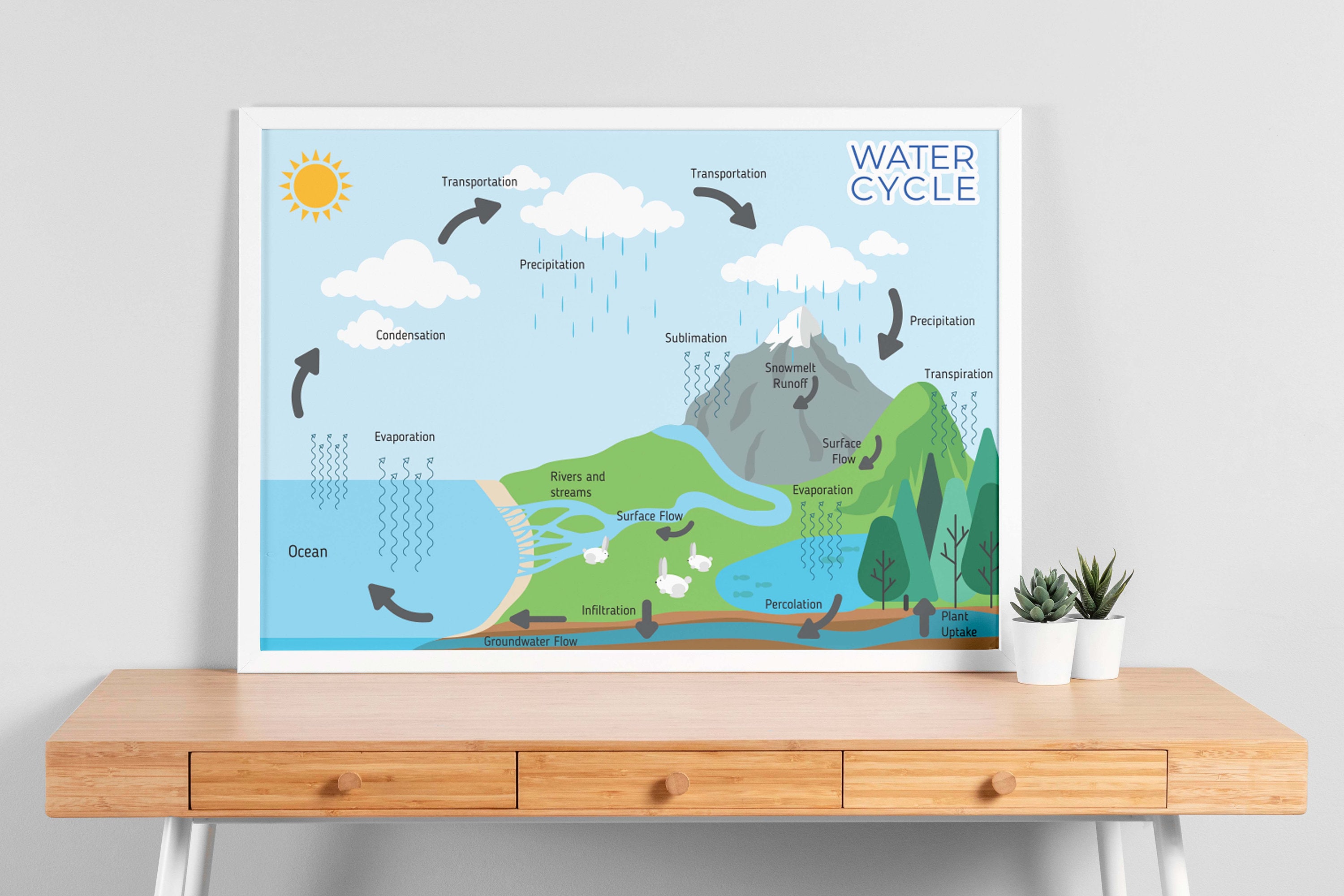 The Water Cycle - Kids Room Science Wall Art – Science Classroom Poster ...