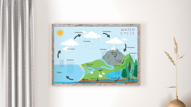 The Water Cycle - Kids Room Science Wall Art – Science Classroom Poster ...