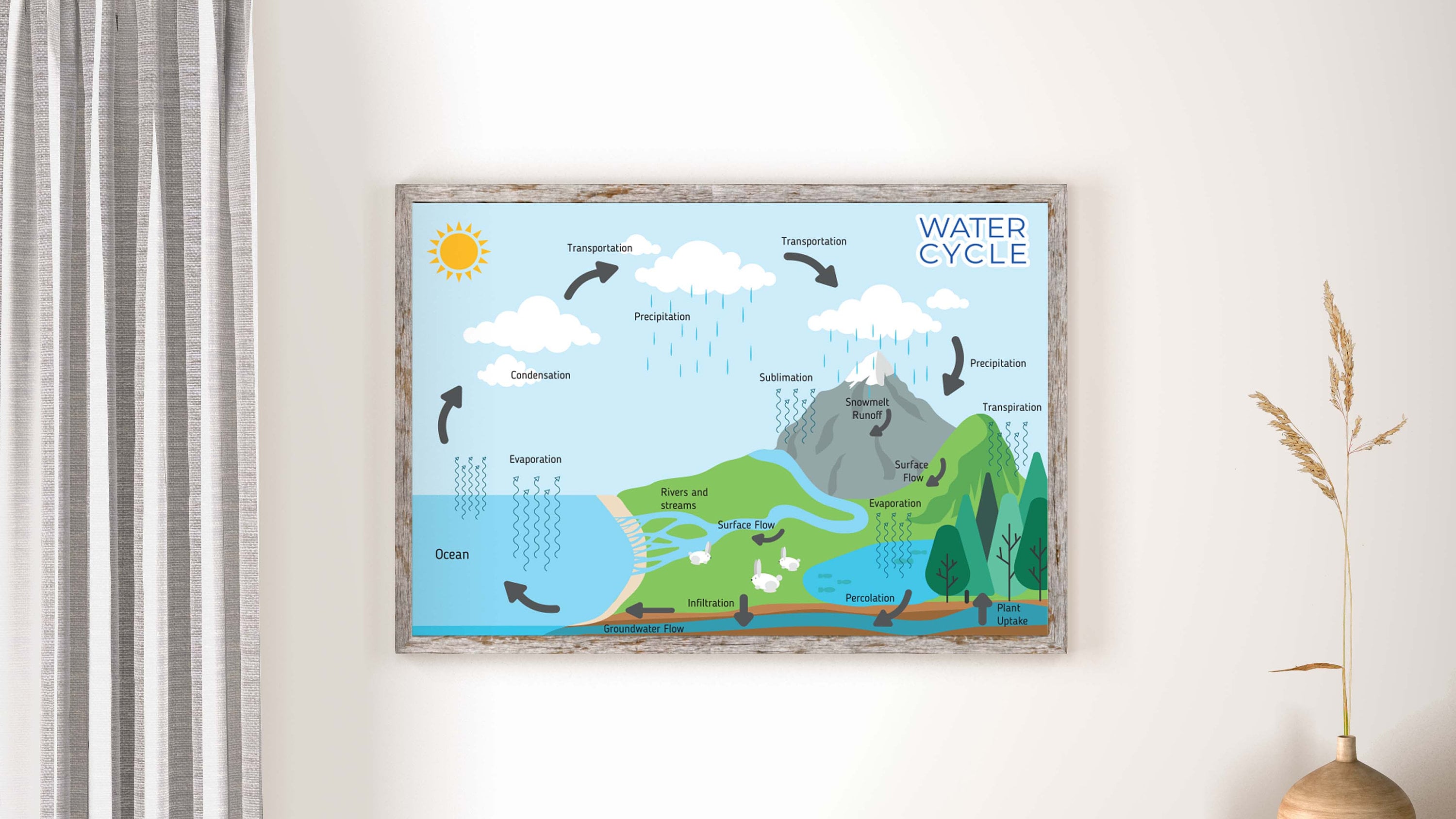 The Water Cycle - Kids Room Science Wall Art – Science Classroom Poster ...