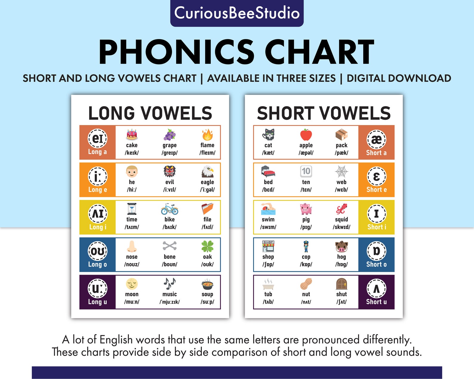 Short and Long Vowels Phonics Chart for Kids, Teaching Aid for English ...