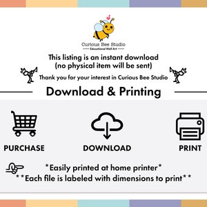 Parts of Speech English Grammar Poster for Homeschool and English ...