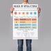 Order of Operations in Math, PEMDAS Poster, Maths Classroom Poster ...