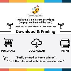 Point of View Anchor Chart – English Language Art (ELA) Resources for ...