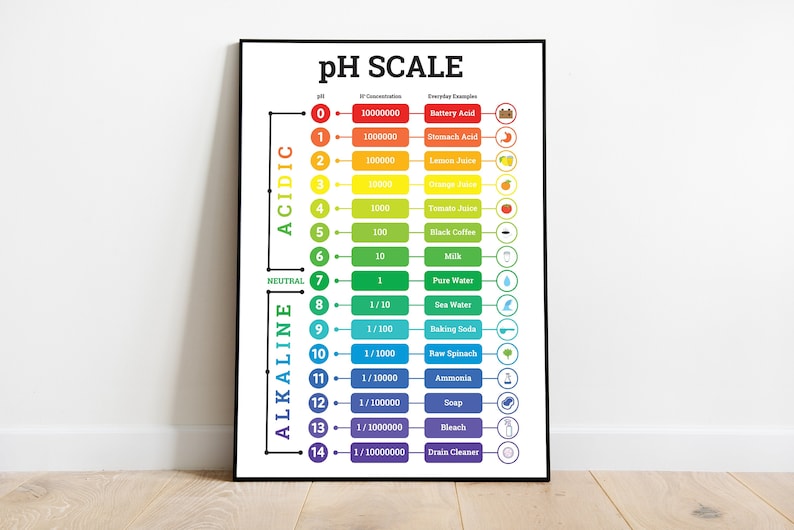 PH Scale Poster – Five Sizes Included (with H+ Concentration Relative ...