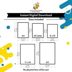 English Grammar Poster – Noun, Parts of Speech Noun Poster, English ...