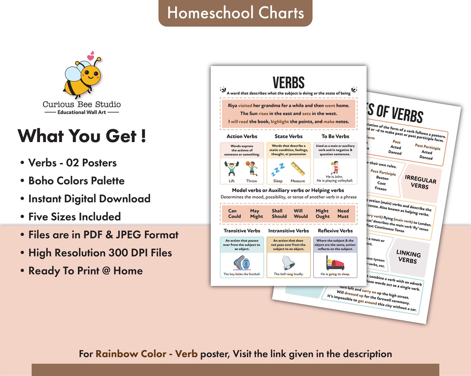Verbs English Grammar Poster: Learn Different Types of Verbs and How to ...