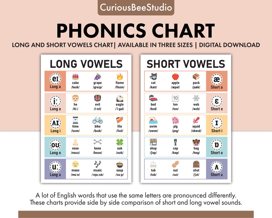 Long and Short Vowels Phonics Chart for Kids, Teaching Aid for English ...