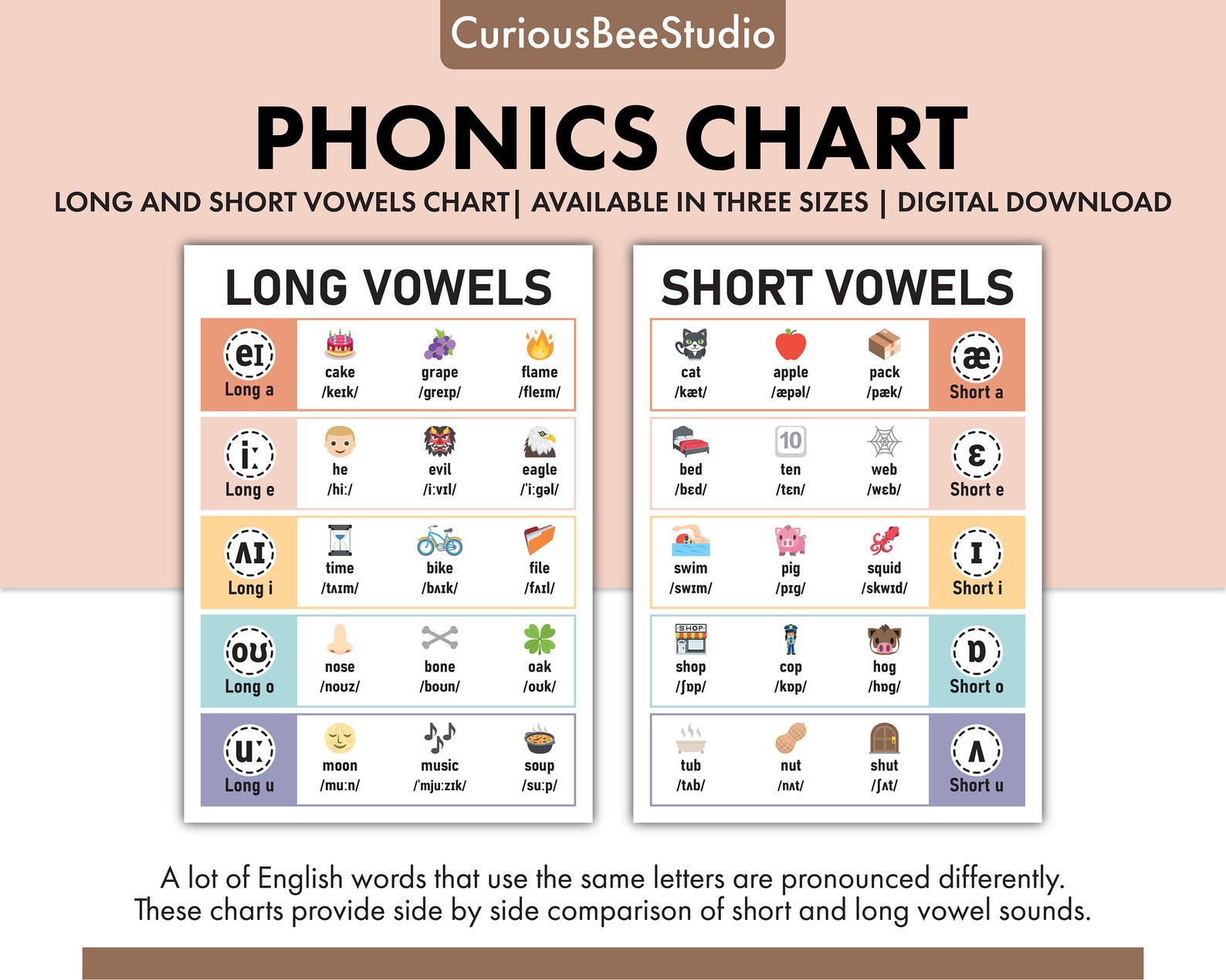 Long and Short Vowels Phonics Chart for Kids, Teaching Aid for English ...