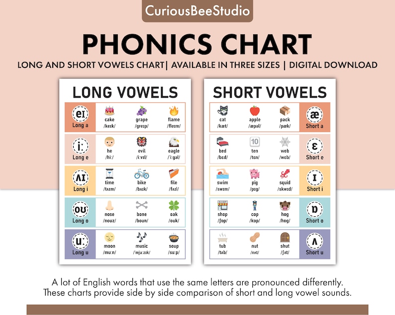 Long and Short Vowels Phonics Chart for Kids, Teaching Aid for English ...