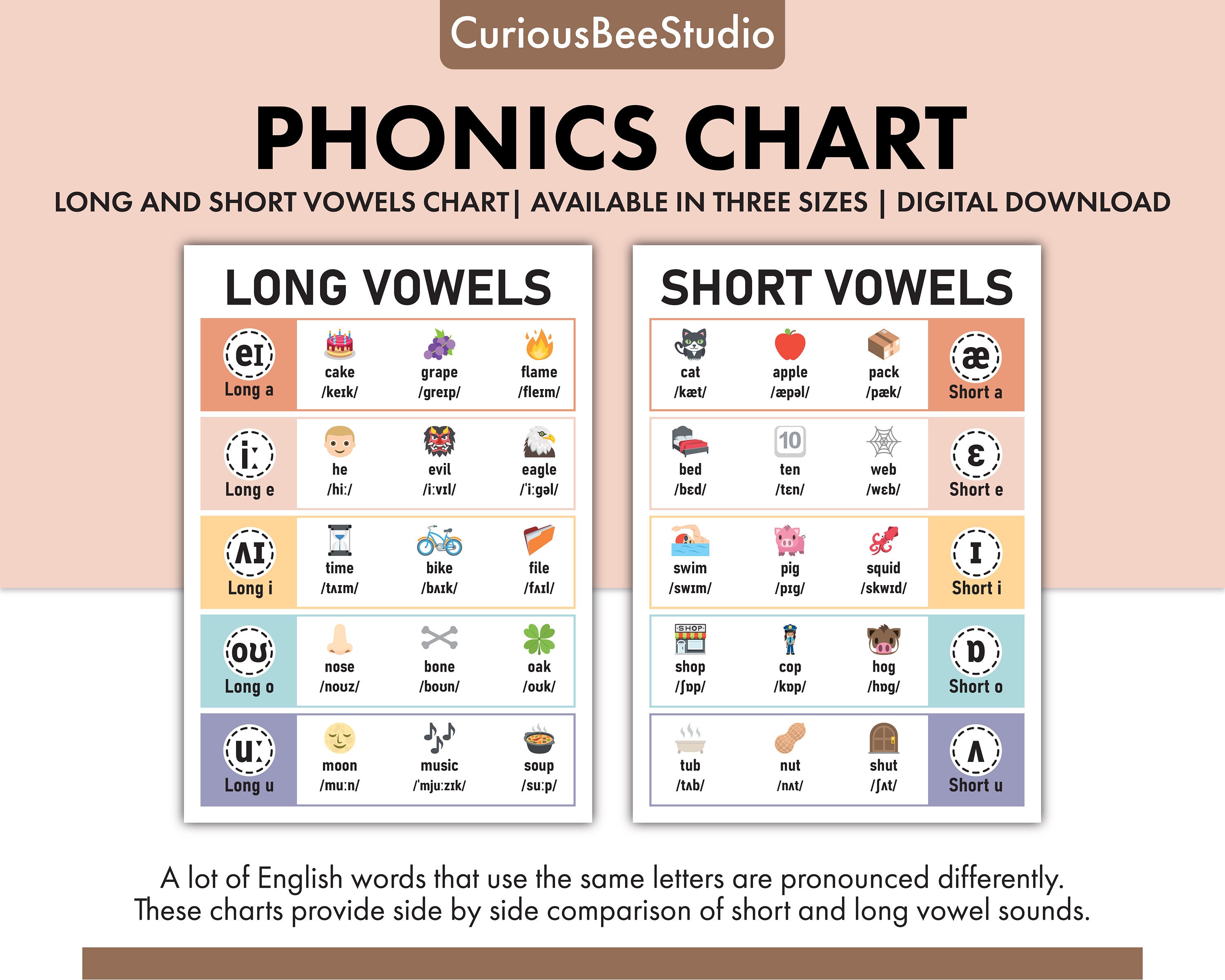 Long and Short Vowels Phonics Chart for Kids, Teaching Aid for English ...