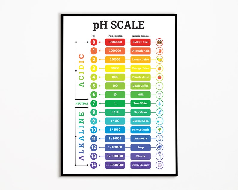 PH Scale Poster – Five Sizes Included (with H+ Concentration Relative ...