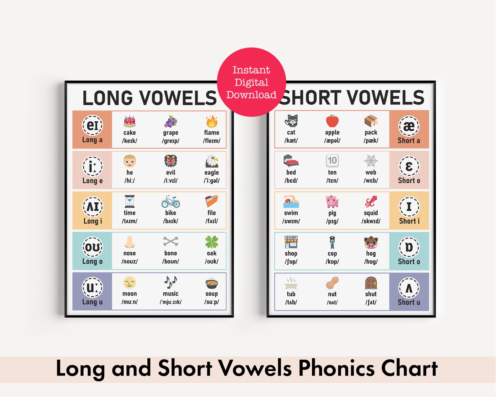 Long and Short Vowels Phonics Chart for Kids, Teaching Aid for English ...