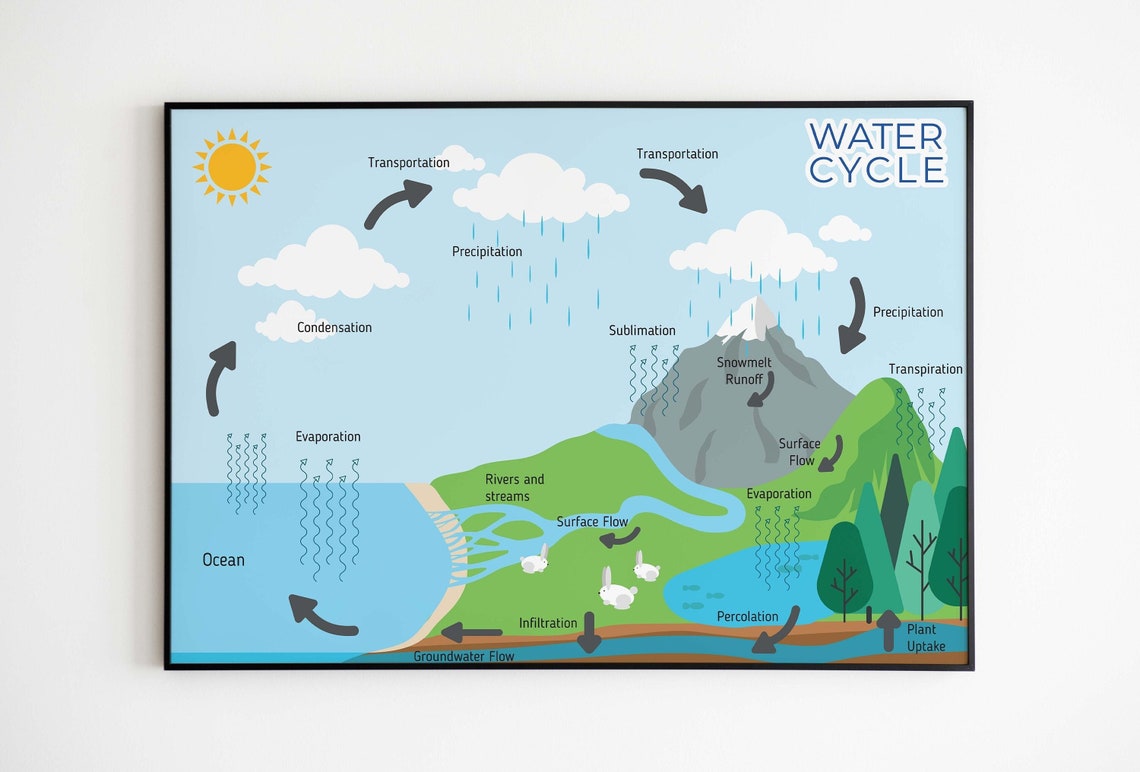 The Water Cycle - Kids Room Science Wall Art – Science Classroom Poster ...