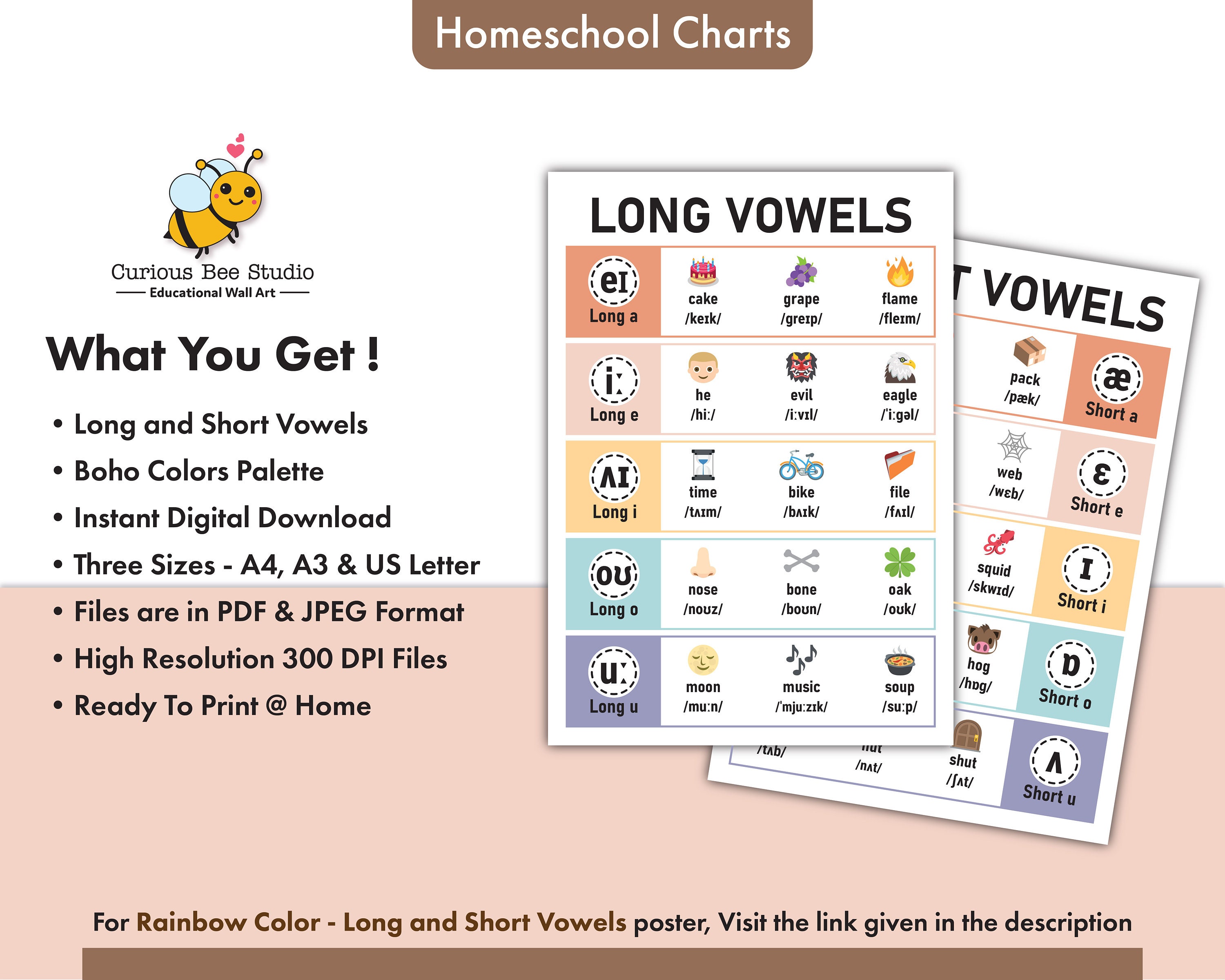 Long and Short Vowels Phonics Chart for Kids, Teaching Aid for English Classroom and Homeschool ...