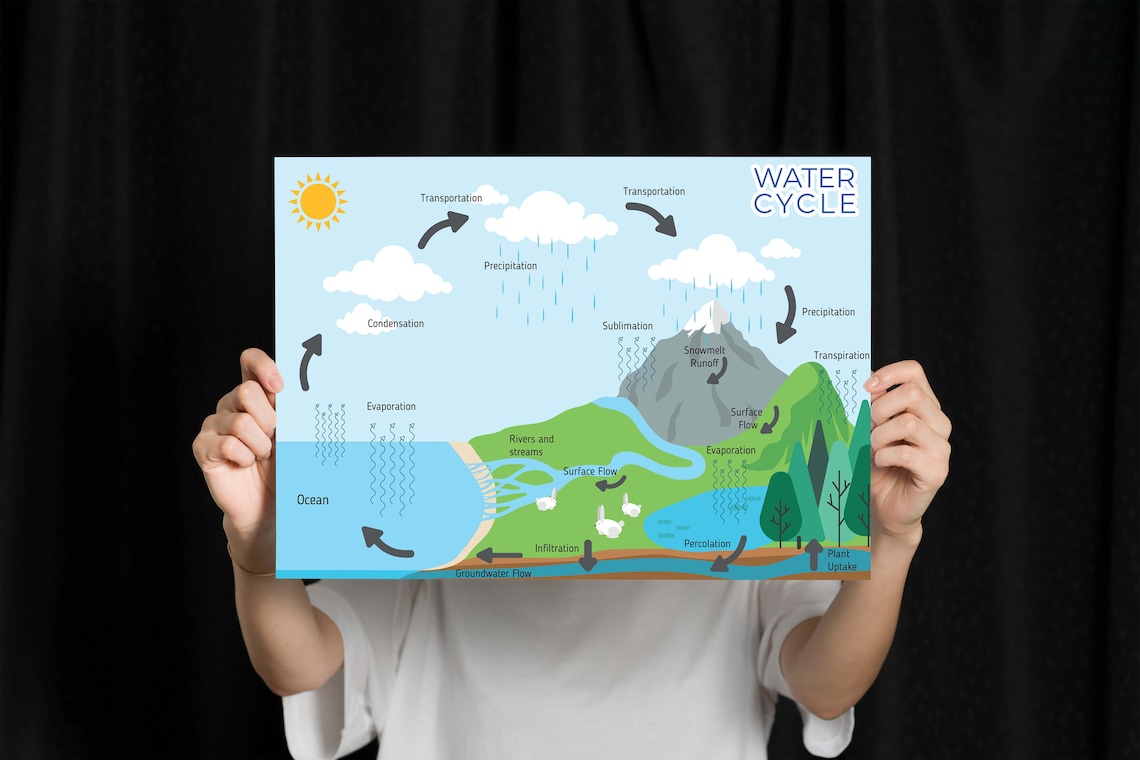The Water Cycle - Kids Room Science Wall Art – Science Classroom Poster ...