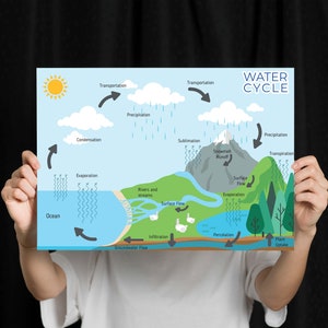 The Water Cycle - Kids Room Science Wall Art – Science Classroom Poster ...