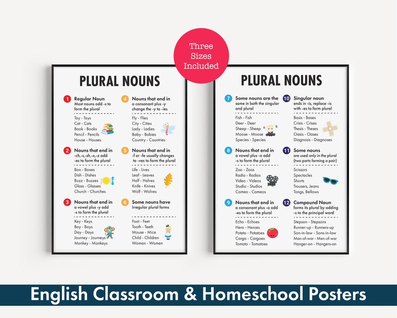Plural Nouns With 12 Rules and Examples - English Grammar Poster for ...