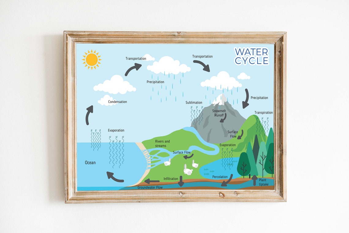 The Water Cycle - Kids Room Science Wall Art – Science Classroom Poster ...