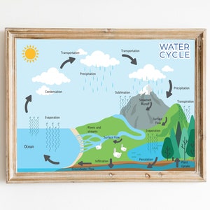 The Water Cycle - Kids Room Science Wall Art – Science Classroom Poster ...