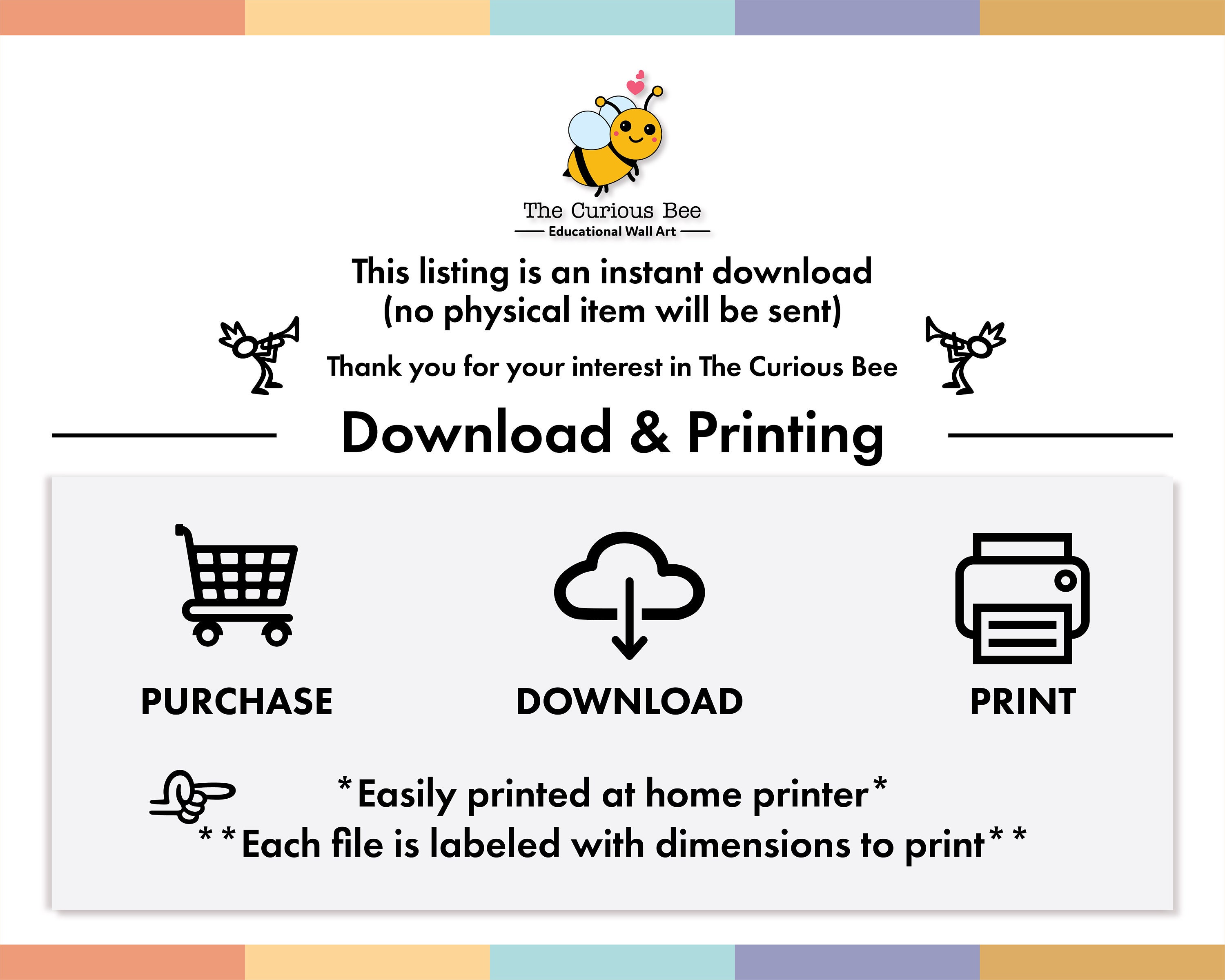 Capital Letter Poster - Learn When to Capitalize Words in English, 09 ...