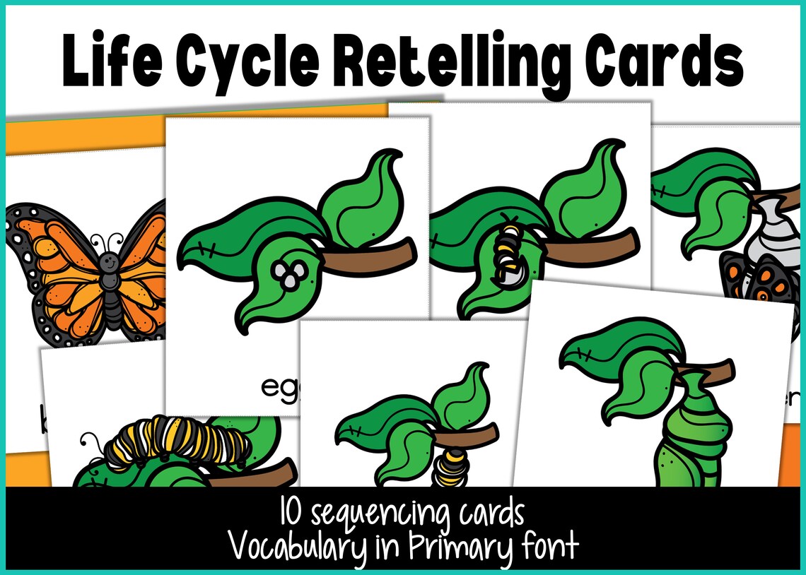 Butterfly Life Cycle Emergent Reader Book and Activities - Etsy